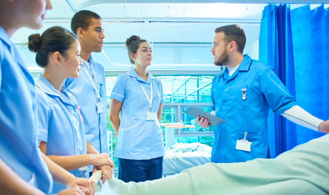Looking for a Nursing Student in the US? Here's What you Should Know ...